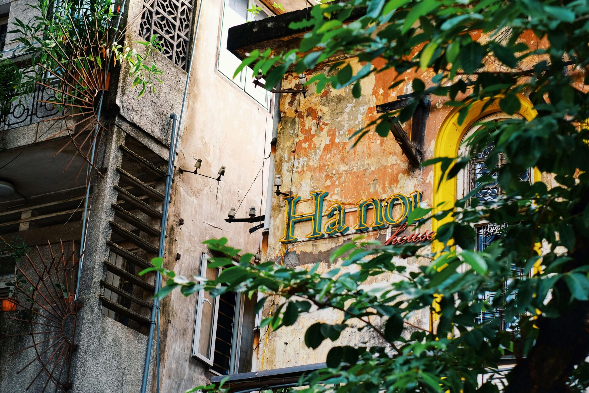 A Successful Program Management Visit to Lana's ELTP in Hanoi - Lana Learn